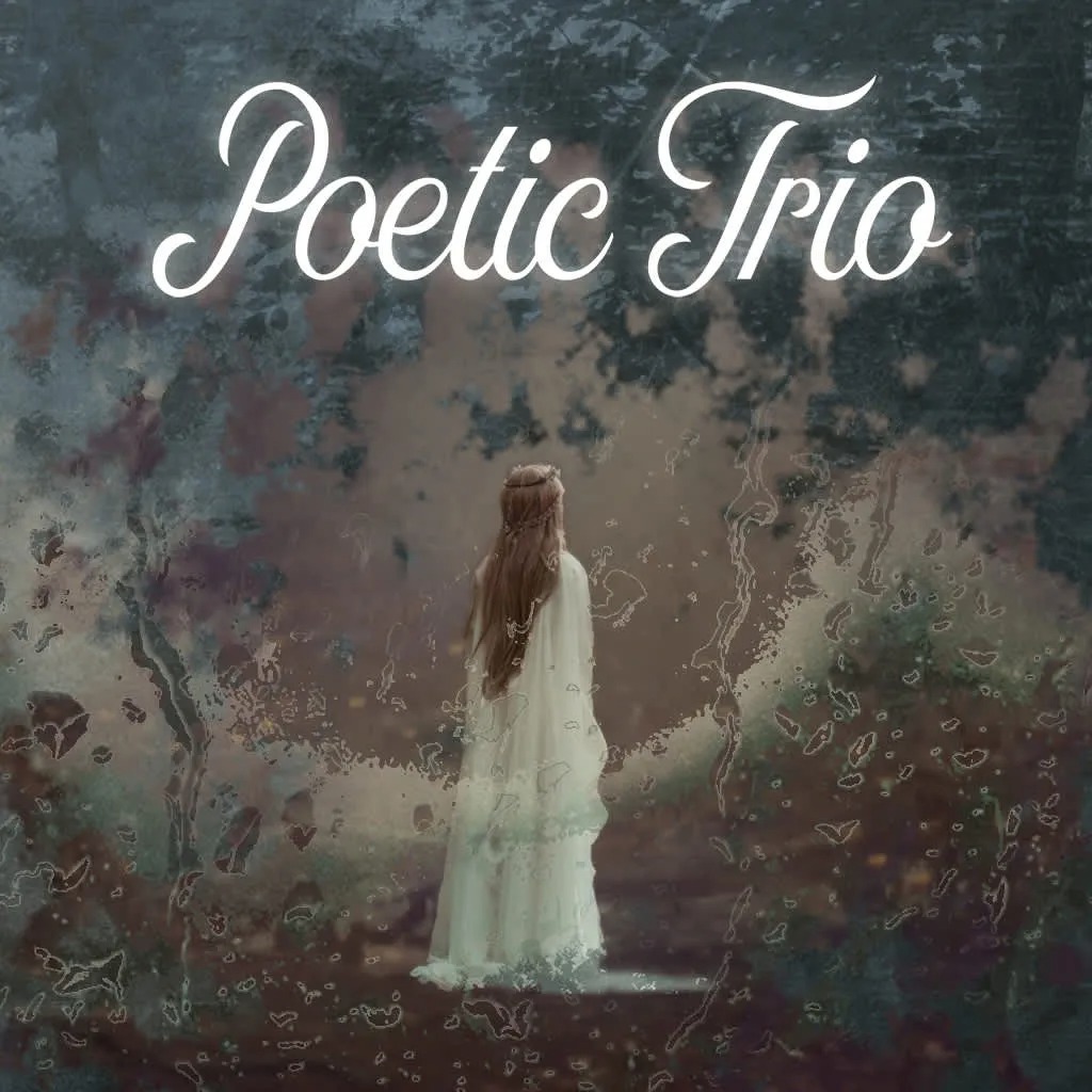 Poetic Trio – Universo Nintendo